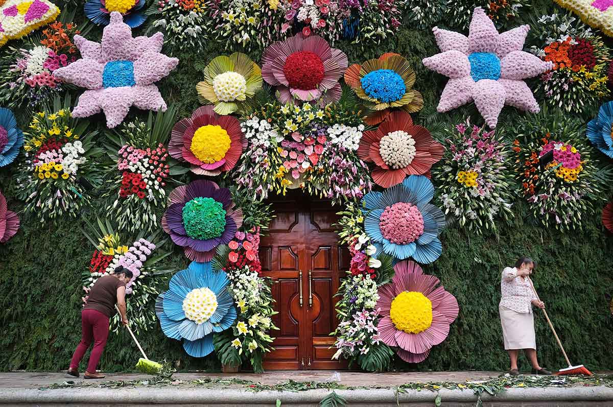 A Feast Day of Flowers - The Southern Cross