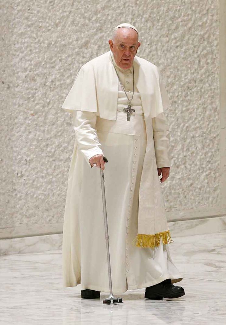 Pope: To be Pastoral, Look to the Good Shepherd - The Southern Cross