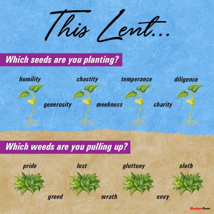 Weeds and Seeds of Lent - The Southern Cross