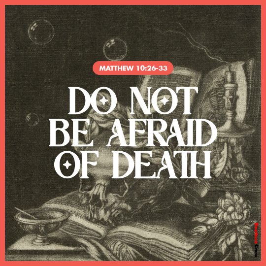 12th Sunday Reflection Do Not Be Afraid Of Death The Southern Cross 12th-sunday-reflection-do-not-be-afraid-of-death-the-southern-cross
