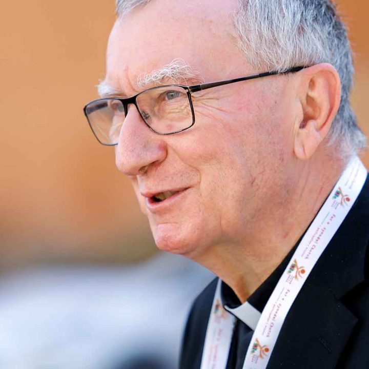 Cardinal says debate about blessings is normal part of church life ...