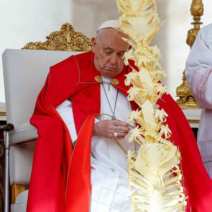 On Palm Sunday, pope prays people open hearts to God, quell all hatred ...