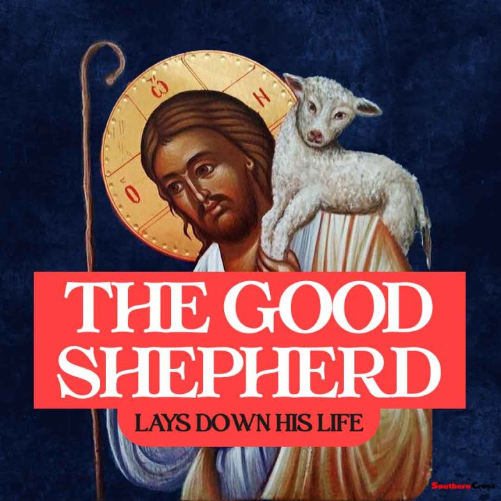 The Good Shepherd Lays Down His Life: 4th Sunday of Easter - The Southern Cross