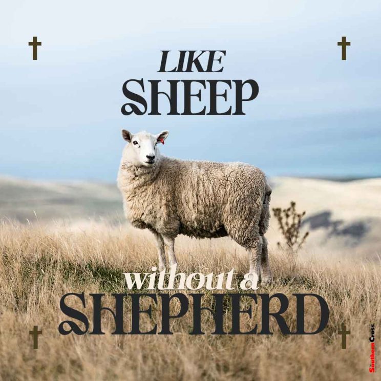 Like Sheep Without a Shepherd: 16th Sunday in Ordinary Time - The ...