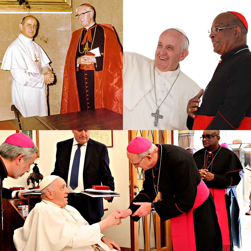 Who are South Africa’s Three Cardinals? - The Southern Cross
