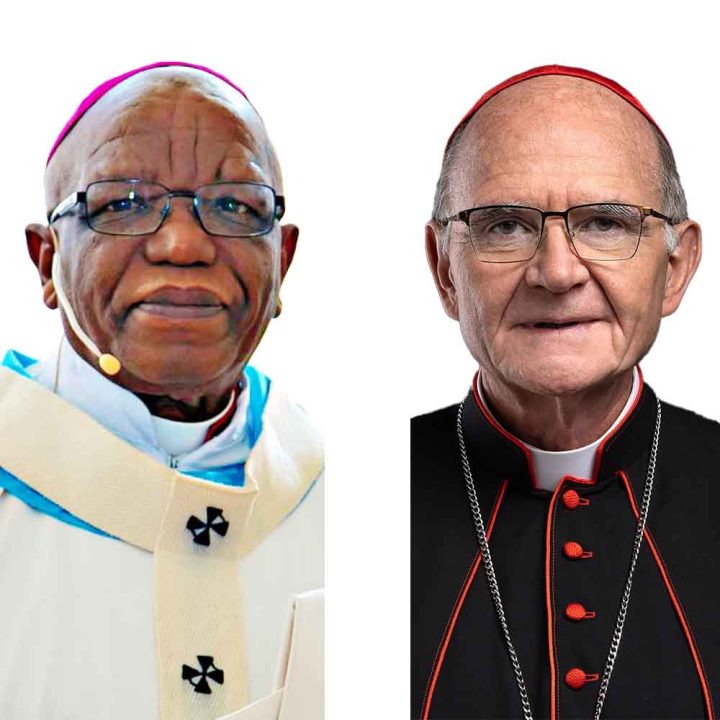 Cardinal Stephen Brislin New Archbishop of Jo'burg - The Southern Cross