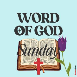 Sunday of the Word of God: 3rd Sunday in Ordinary Time - The Southern Cross