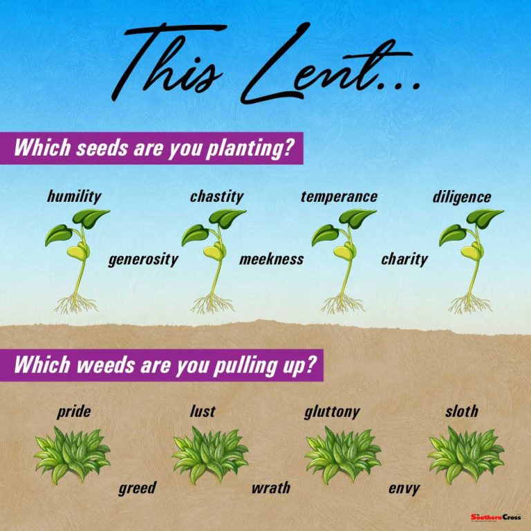 Lent's Weeds and Seeds - The Southern Cross