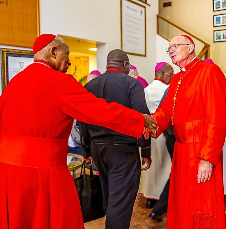 How to Address a Cardinal? – The Southern Cross