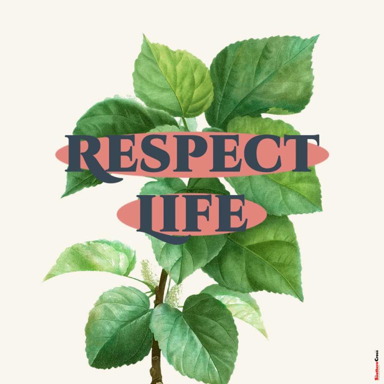 Respect life – every life, everywhere, no exceptions! – The Southern Cross