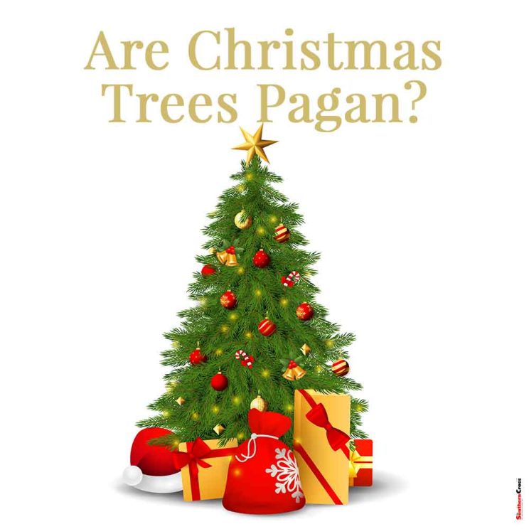 Are Christmas Trees Pagan? – The Southern Cross